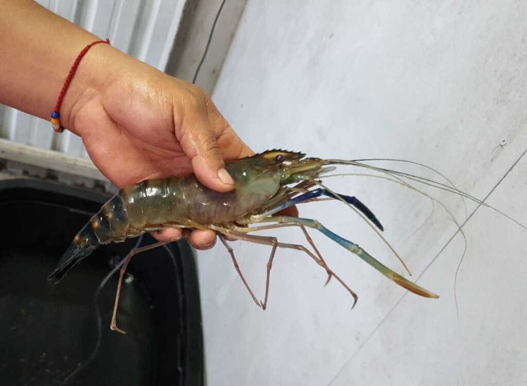 Gallery – Mawai Adventures